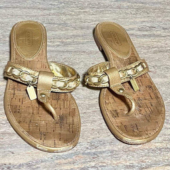 Coach | Shoes | Coach Rizzo Thong Sandals | Poshmark